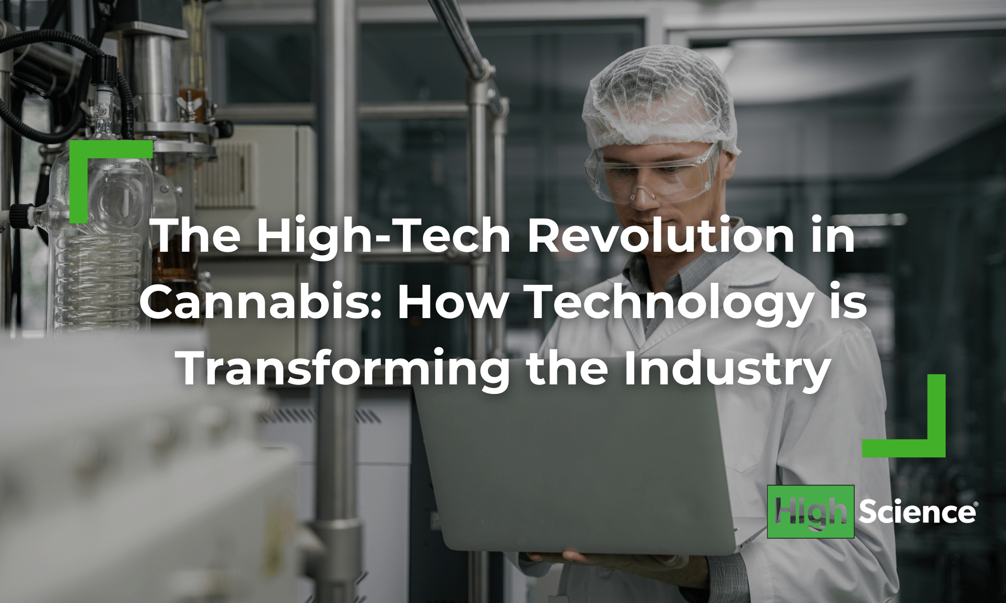 The High-Tech Revolution in Cannabis: How Technology is Transforming ...