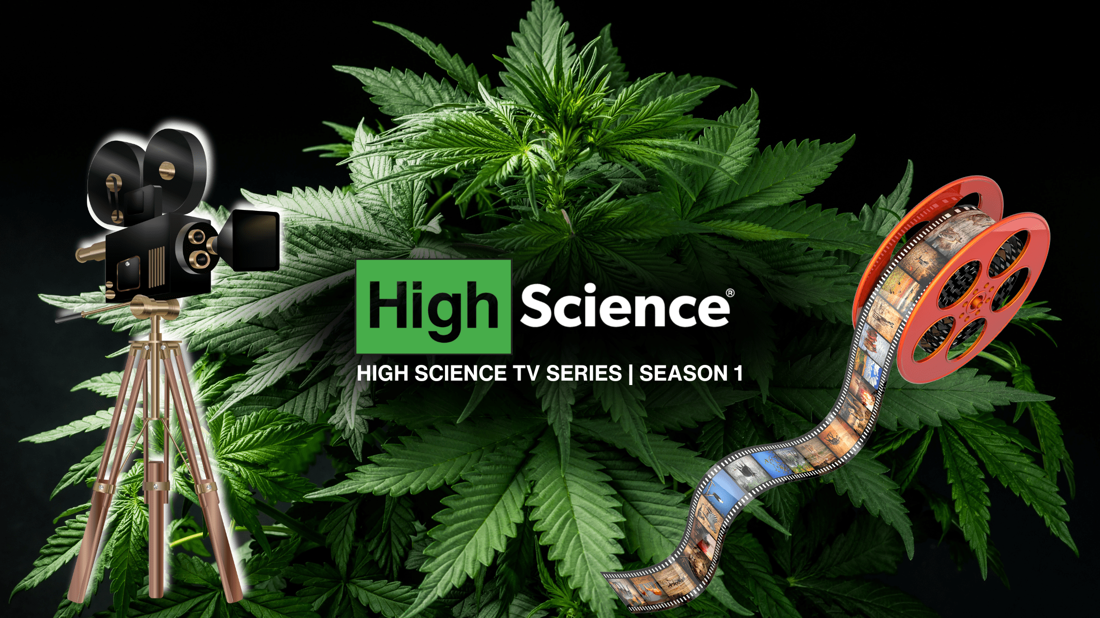Cast - High Science