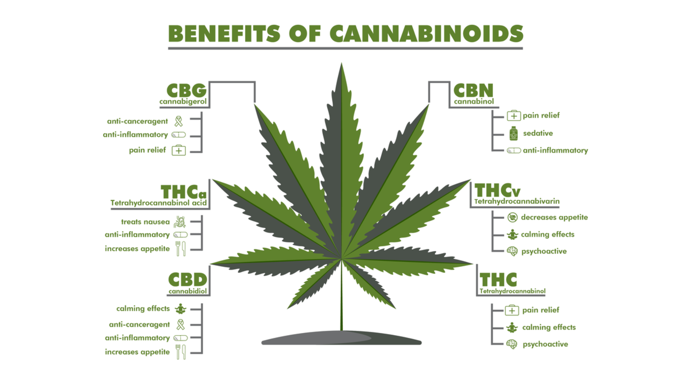 What Are Cannabinoids and How Do They Work - High Science
